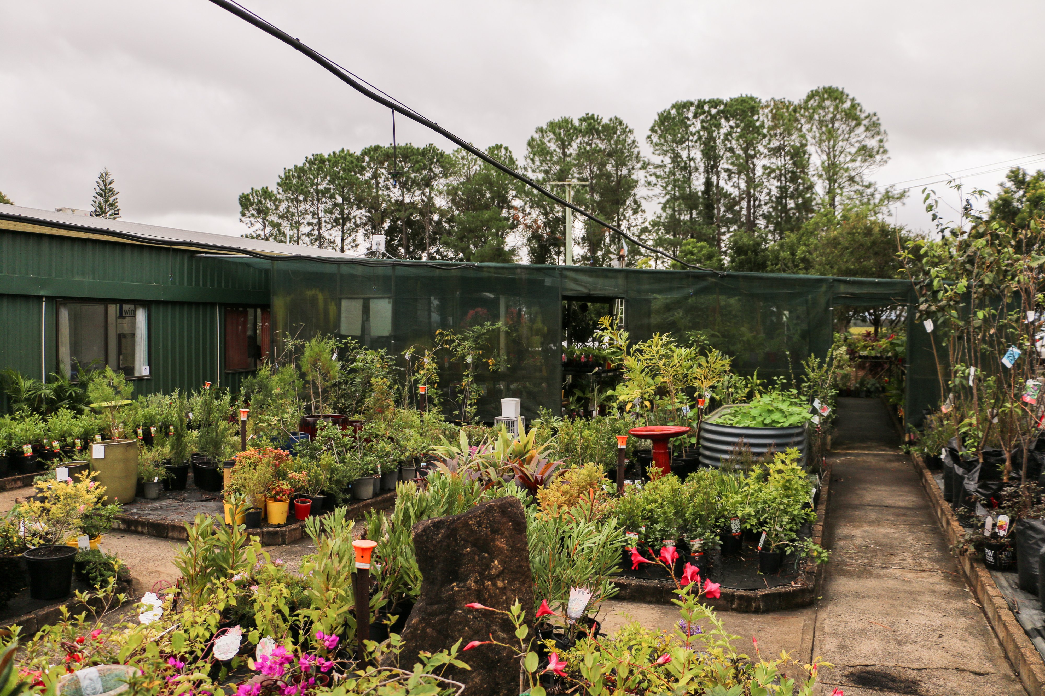 Windara Nursery